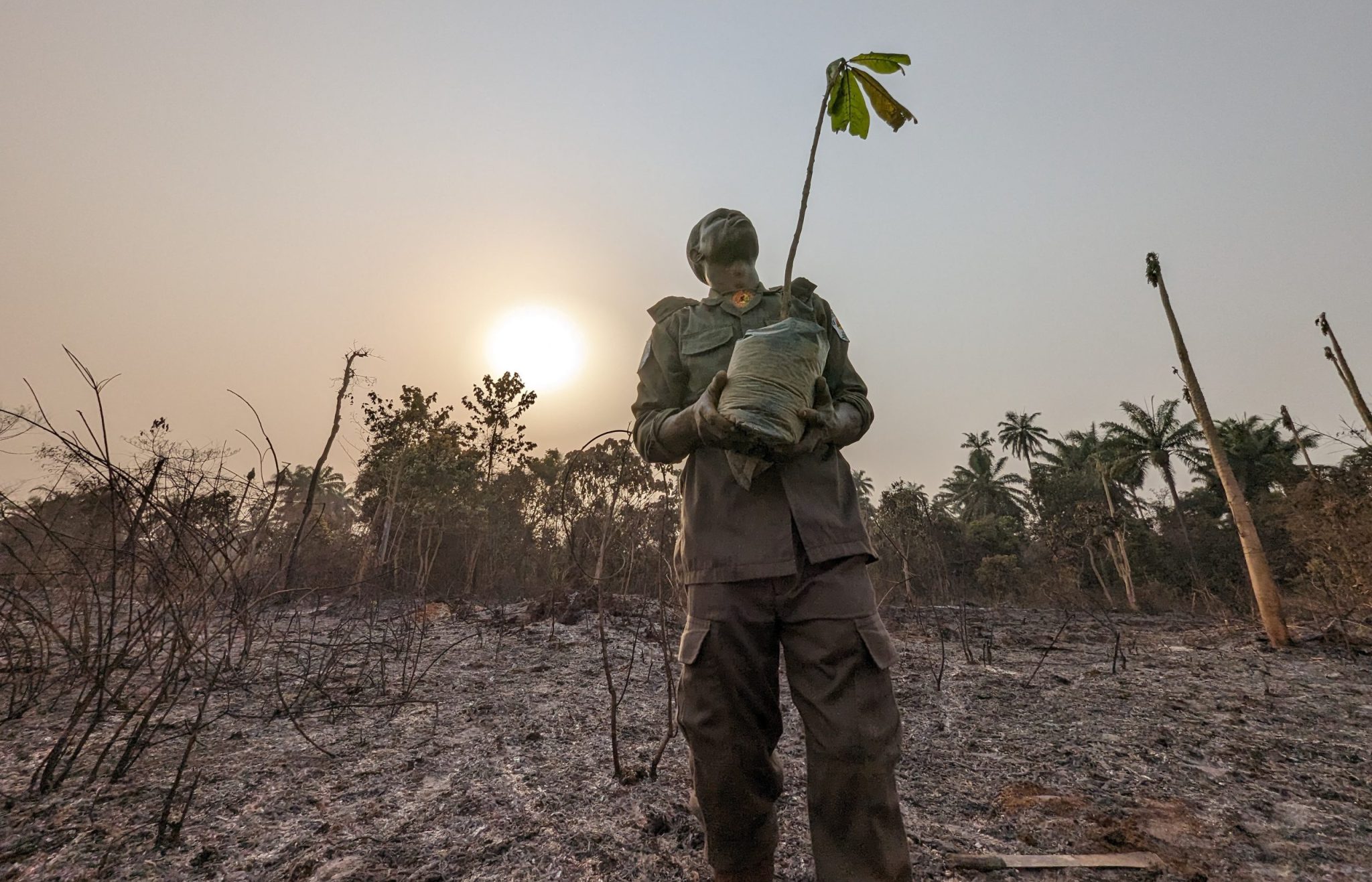 SW/NIGER DELTA FOREST PROJECT – SW/NIGER DELTA FOREST PROJECT